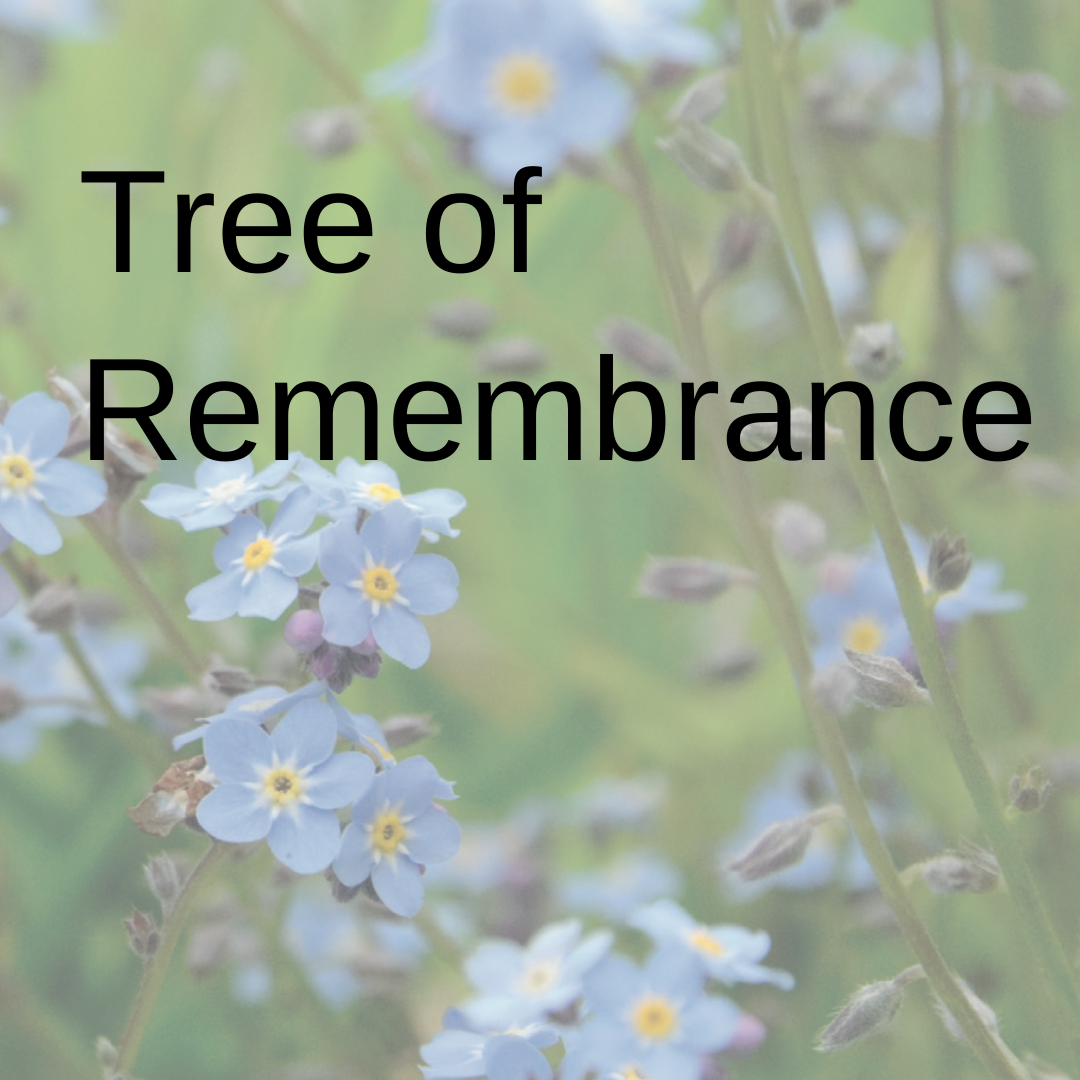 Tree of Remembrance - St Michael's Church